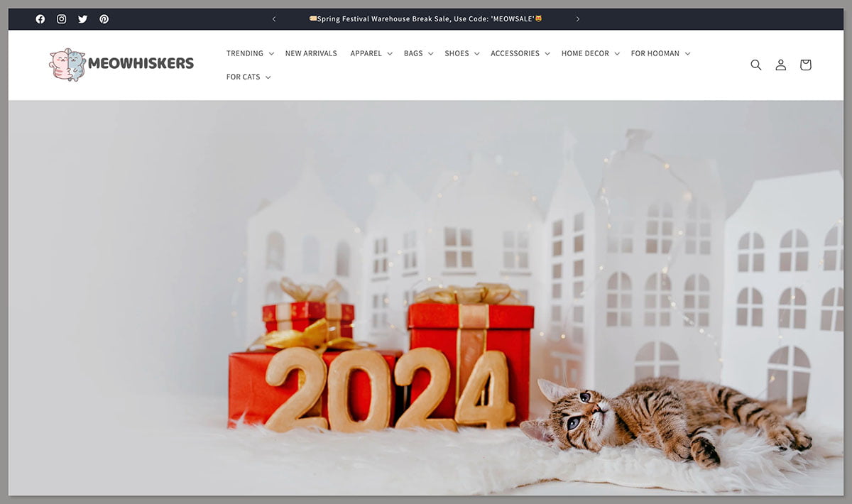 11 Best Dropshipping Store Examples for 2024