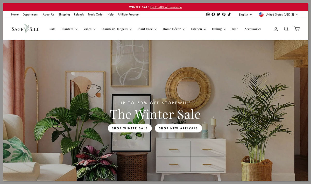 11 Best Dropshipping Store Examples for 2024