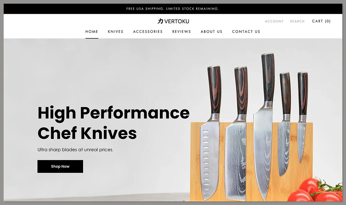 11 Best Dropshipping Store Examples for 2024